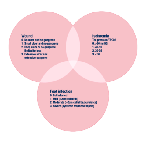 Classification | ActivHeal® Academy